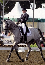 Alice Beasley’s Dressage Success | PARWICH.ORG