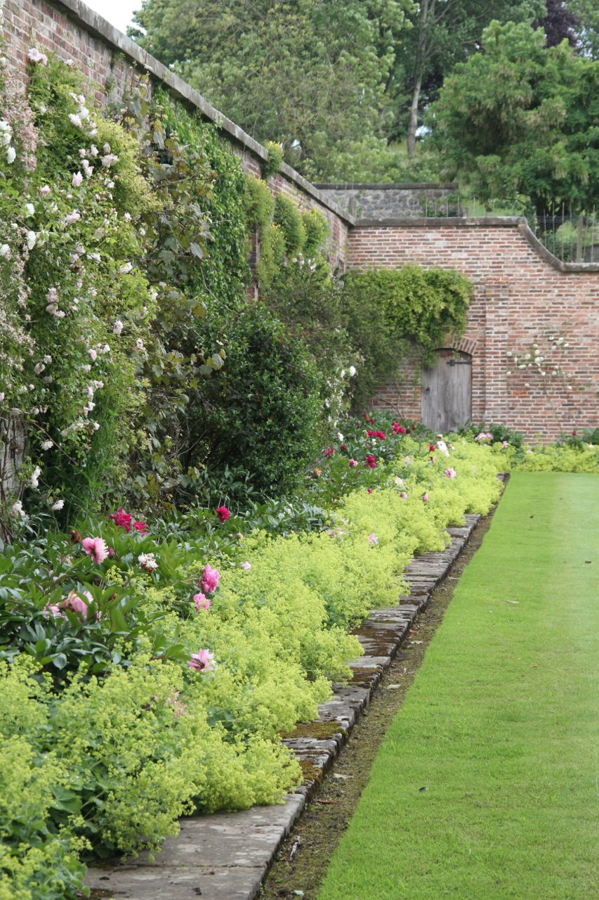 And More | PARWICH.ORG