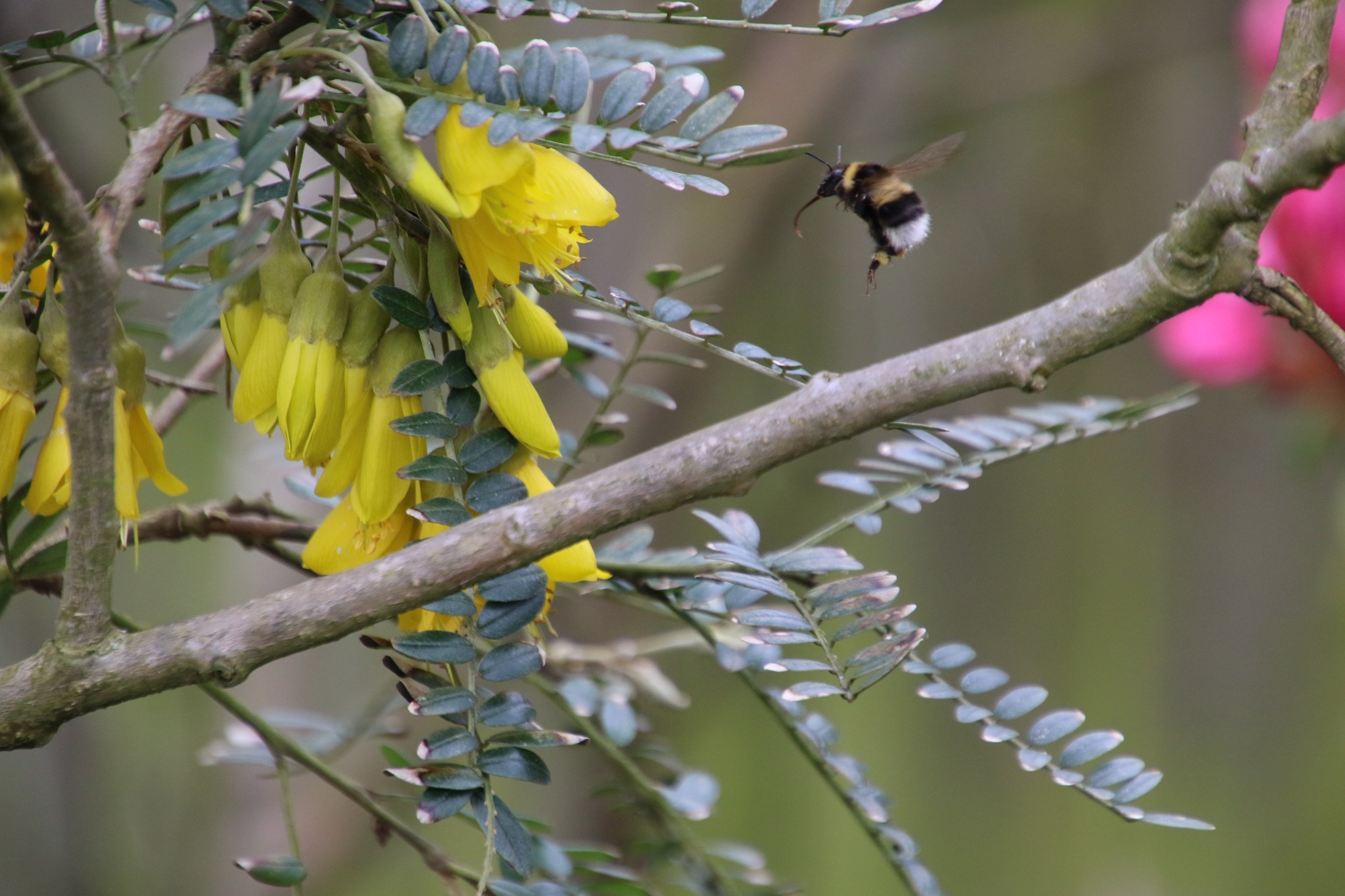 PARWICH.ORG | A community website for the residents of Parwich, Alsop ...