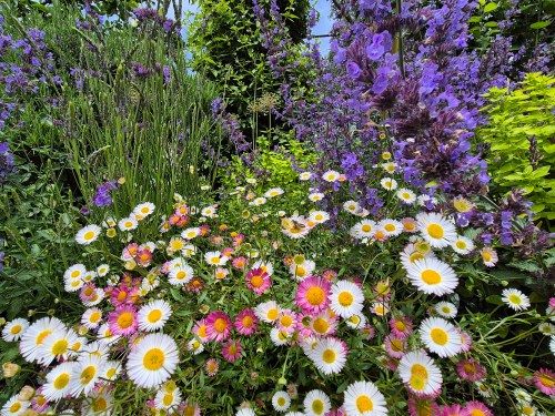 Put those mowers away, it’s time for Open Gardens! | PARWICH.ORG